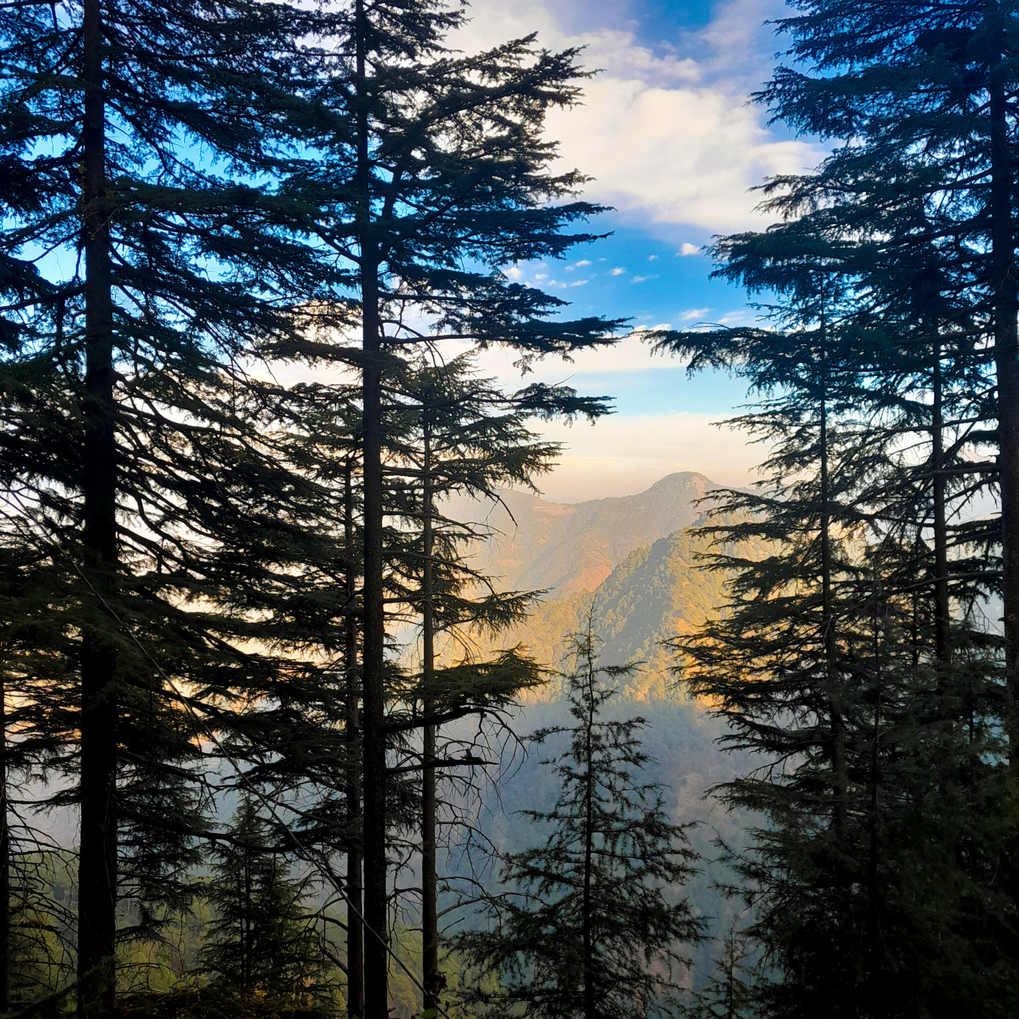In SEARCH OF RUSKIN’S BOND MUSSOORIE – A PICTURESQUE JOURNEY - Roaming ...