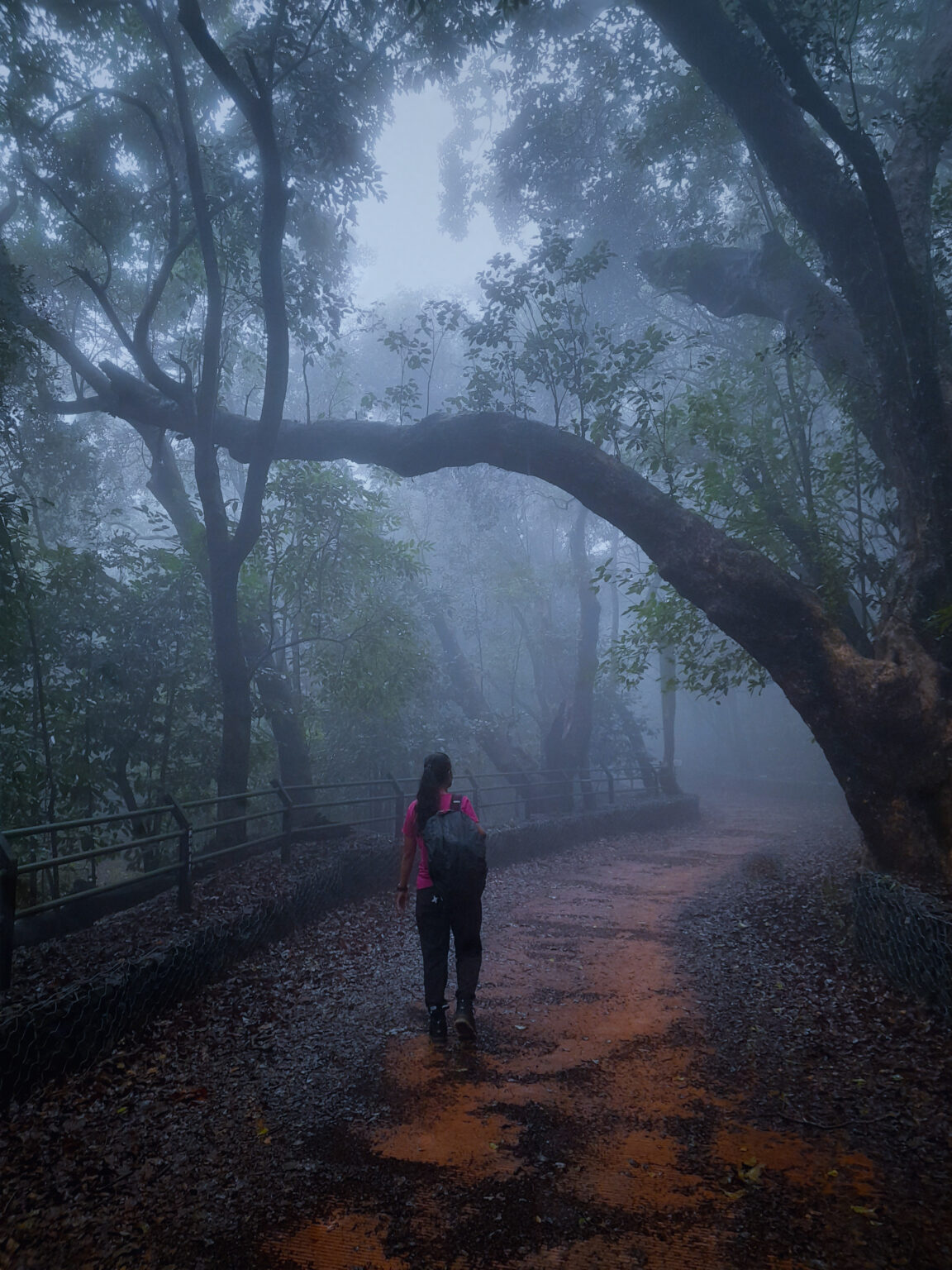 A MISTY VOYAGE – RAIN IN THE MOUNTAINS - Roaming With Roads