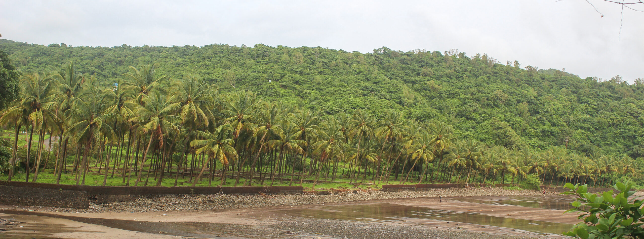 TRAVEL TALES FROM THE INCREDIBLE ROAD TRIP TO THE COASTAL TOWN OF MURUD ...