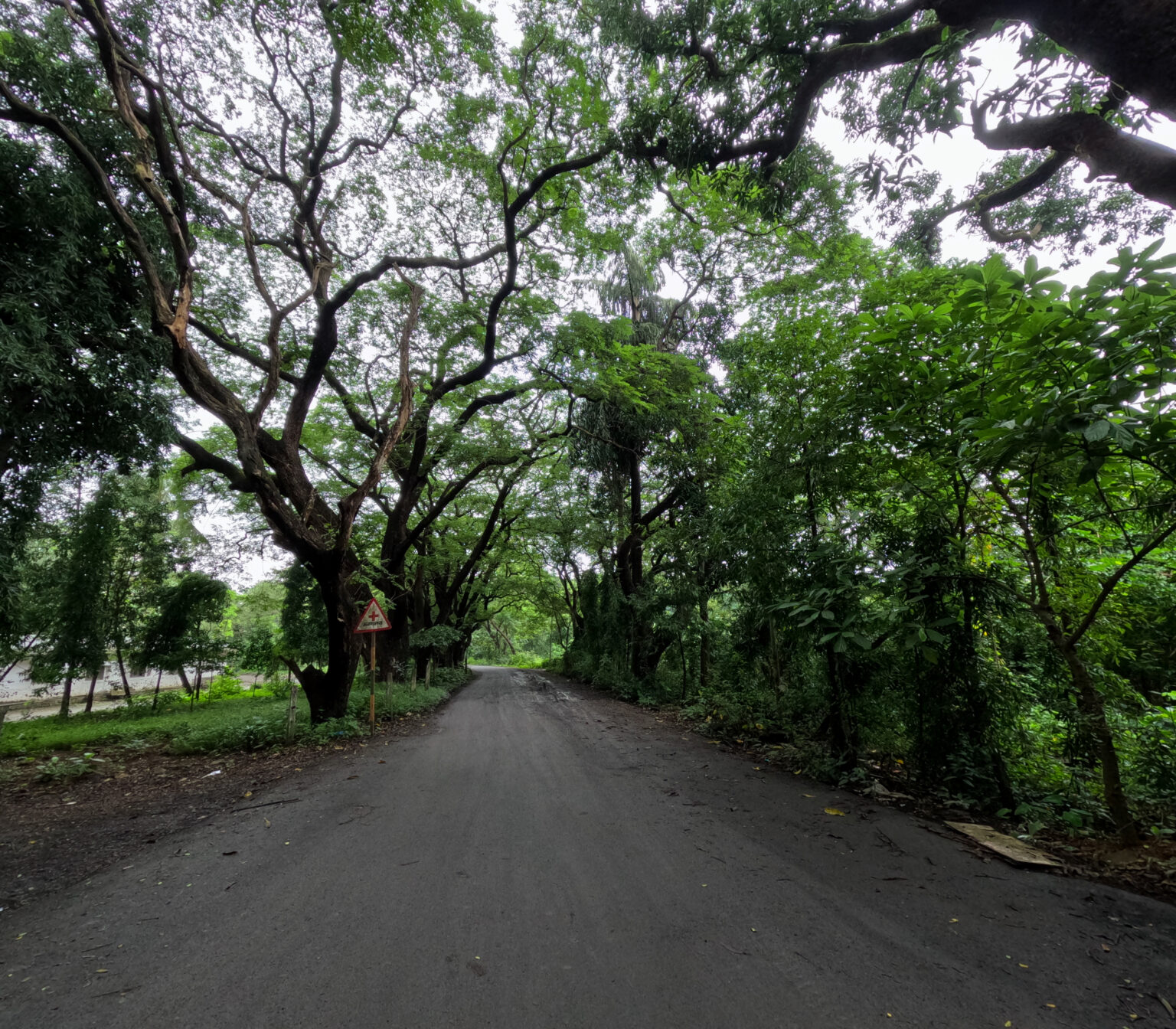 A SHORT NATURE WALK IN THE FOREST OF AAREY COLONY - Roaming With Roads