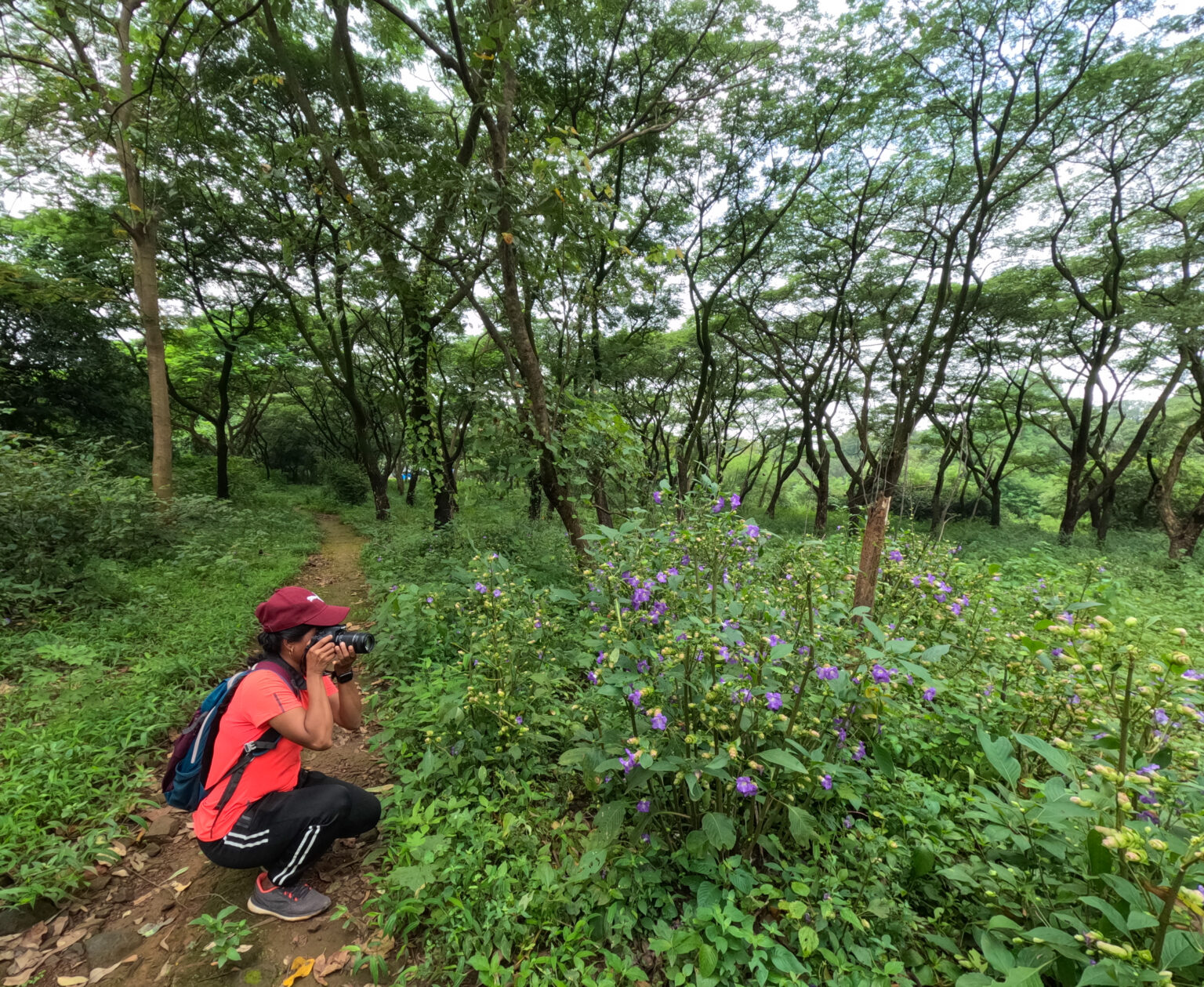 A SHORT NATURE WALK IN THE FOREST OF AAREY COLONY - Roaming With Roads