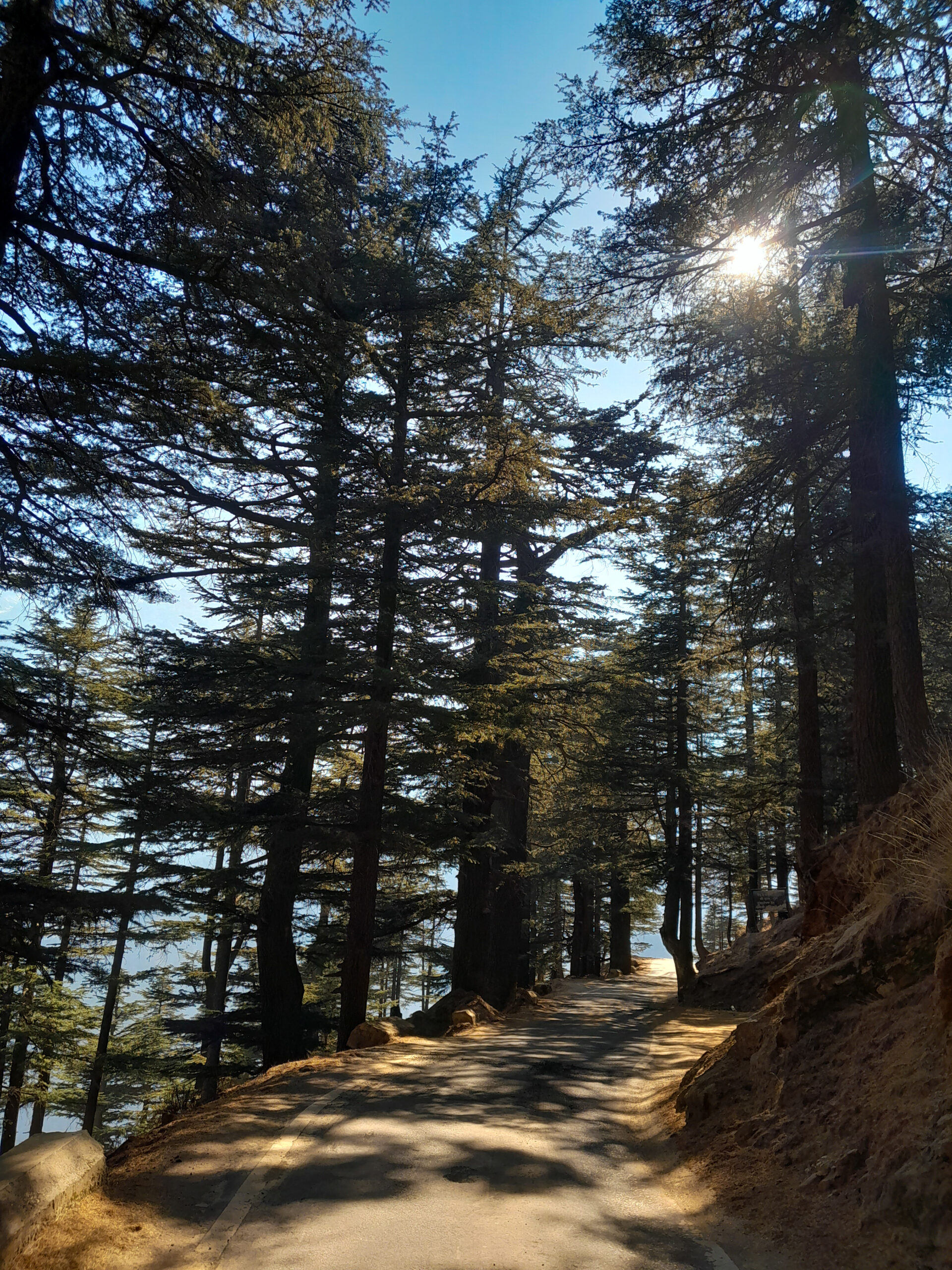 A TRIP TO ‘KALPA’ IN THE KINNAUR VALLEY OF HIMACHAL PRADESH - Roaming ...