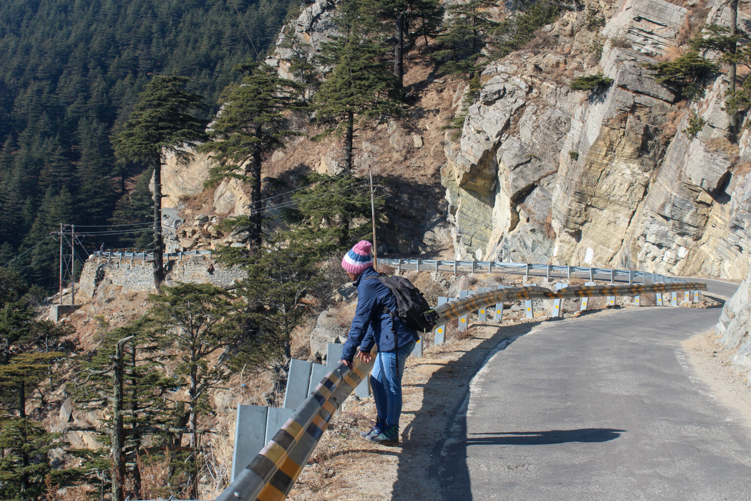 A TRIP TO ‘KALPA’ IN THE KINNAUR VALLEY OF HIMACHAL PRADESH - Roaming ...
