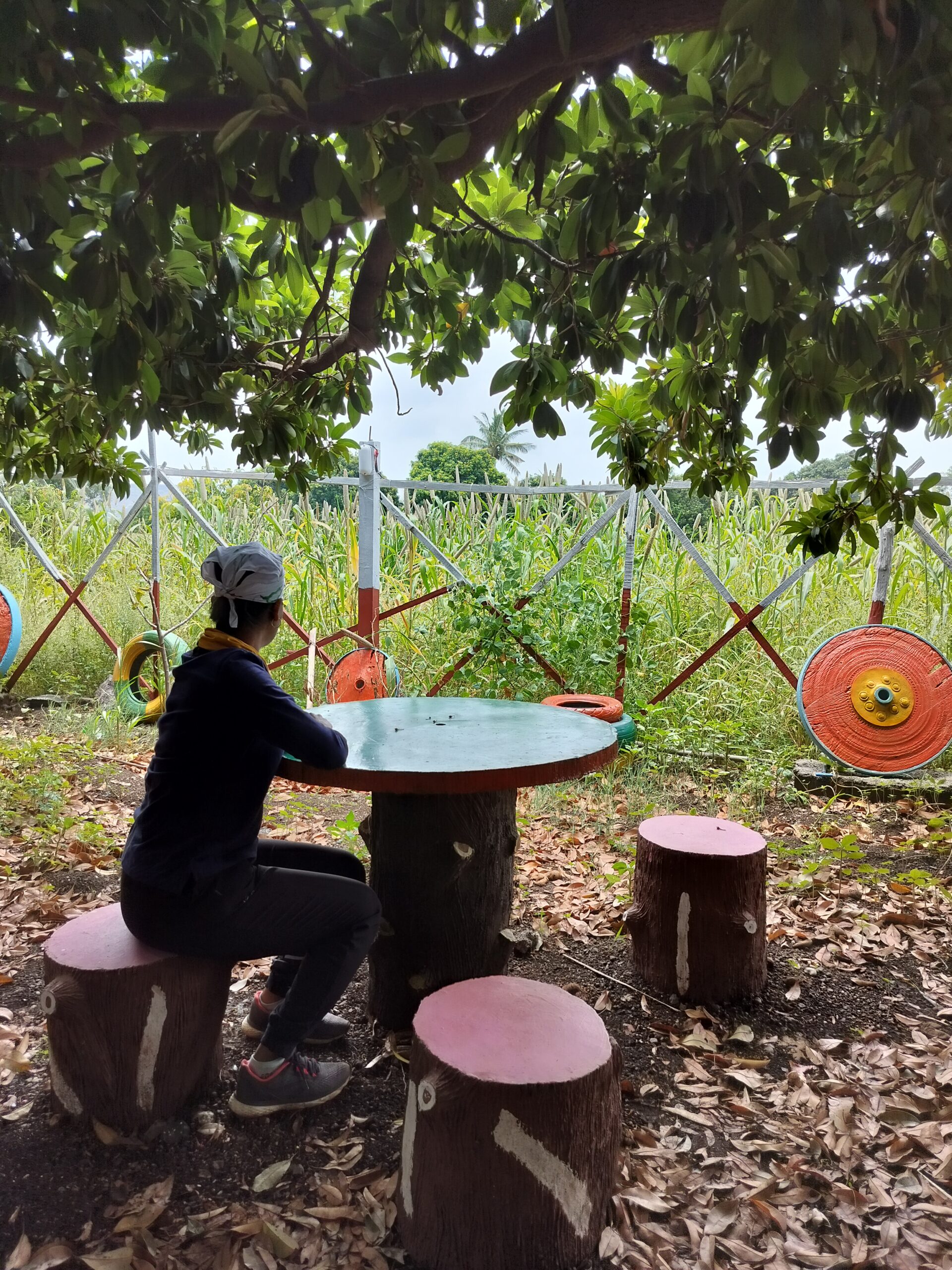 AMAZING ROAD TRIP TO PRISTINE JUNNAR – A PLACE WITH HISTORICAL SIGNIFICANCE - Roaming With Roads