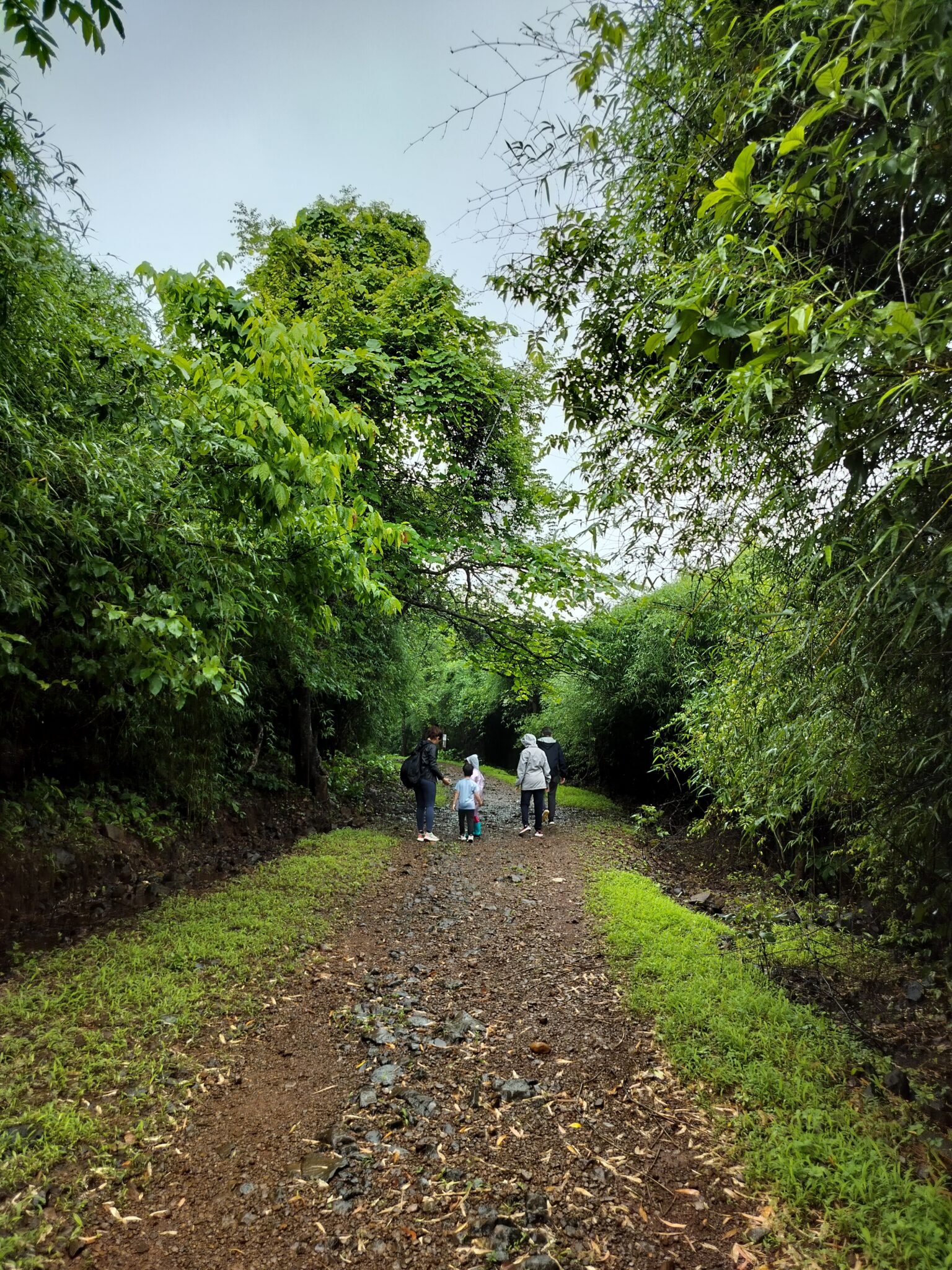 THE MOST POPULAR TRAIL IN SANJAY GANDHI NATIONAL PARK: SHILONDA ...